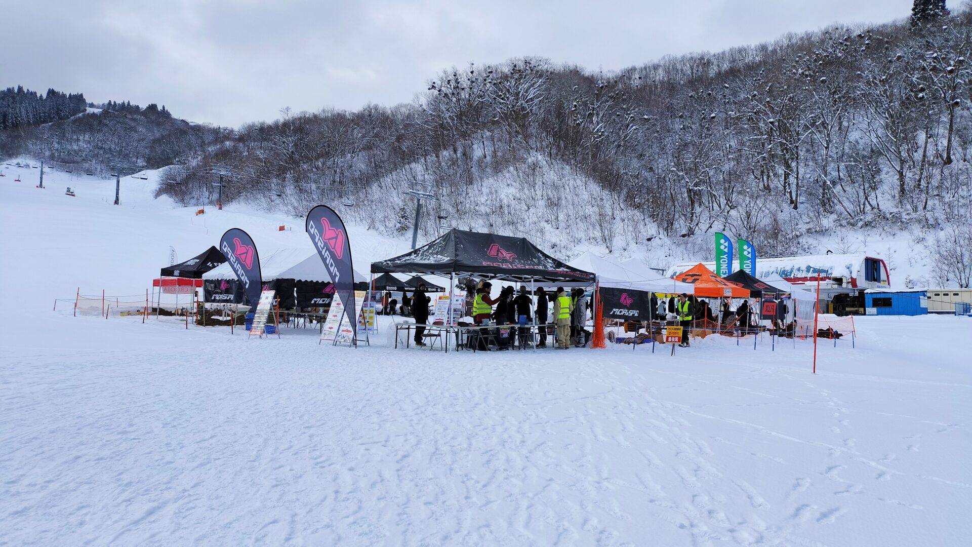 【GRAY】DELIGHTの試乗評価レビュー！ハンマーヘッド初心者でも扱える極秘ボード｜こくだんブログ